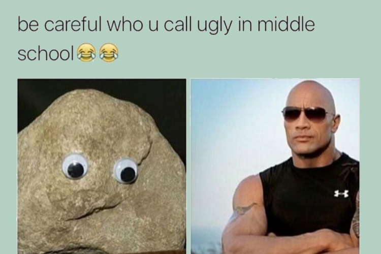 The rock meme là gì? Top những meme về The Rock hài hước nhất