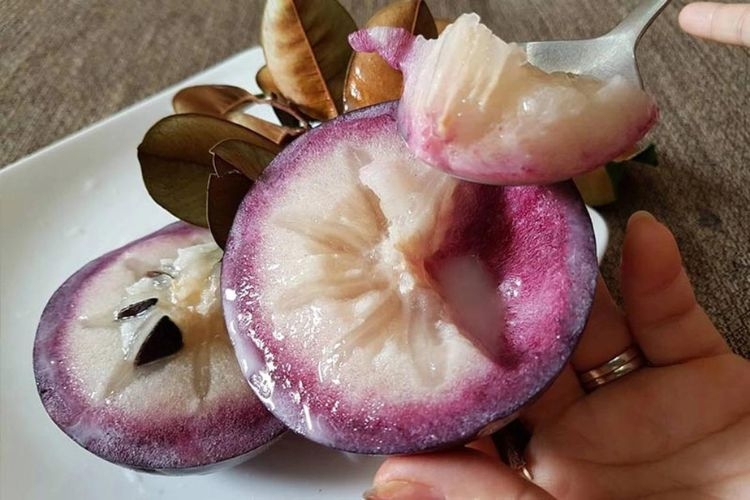 Cách ăn vú sữa chuẩn giúp ngon miệng và tốt cho sức khoẻ