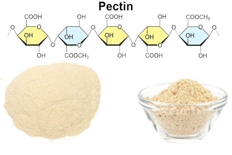 Pectin là gì? Tìm hiểu tác dụng Pectin đối với sức khỏe