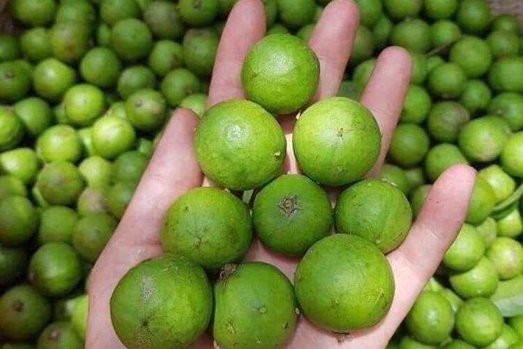 Cách làm mứt sấu giòn dai, lạ miệng, đãi khách đến chơi Tết 2024