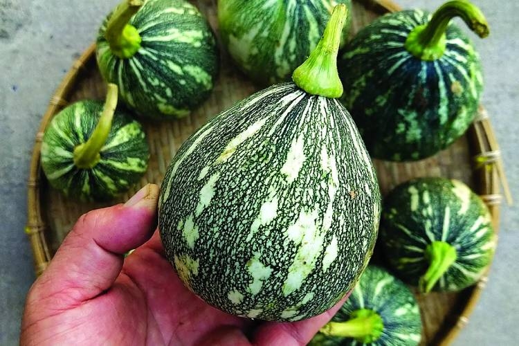 Bật mí cách làm bí đỏ xào thịt bò thơm ngon và bổ dưỡng