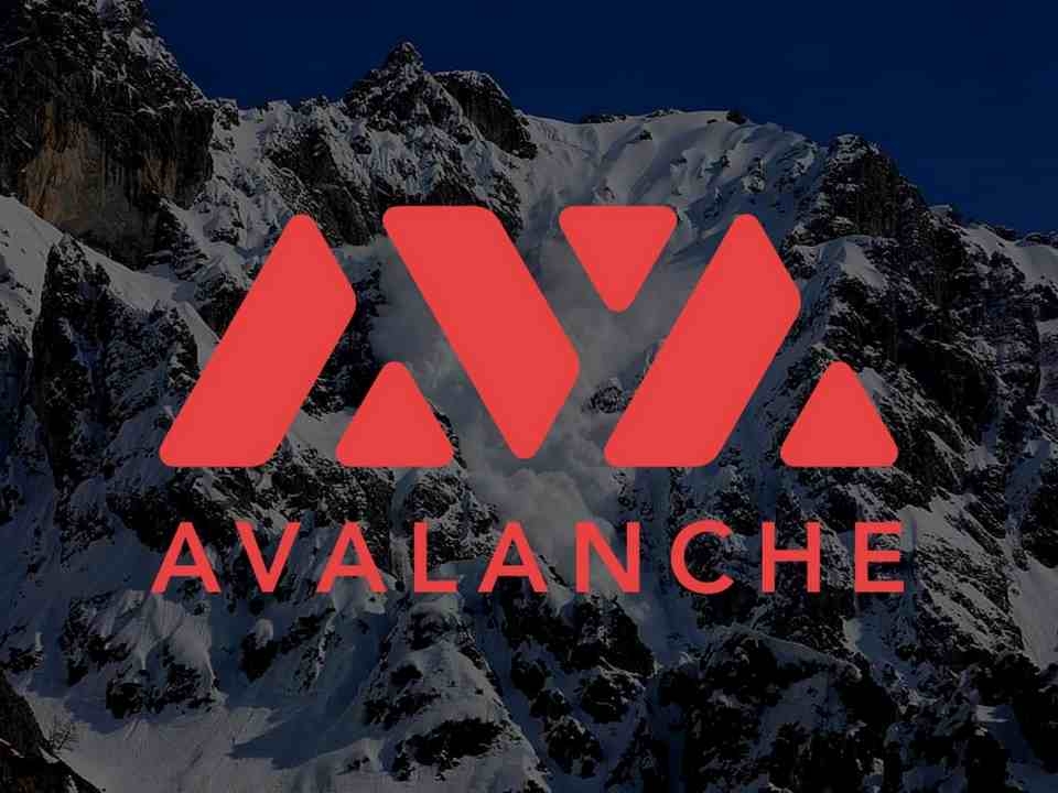 Cách thêm mạng Avalanche vào Metamask chi tiết từ A – Z