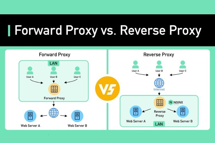 Reverse Proxy là gì? Các ứng dụng quan trọng của Reverse Proxy