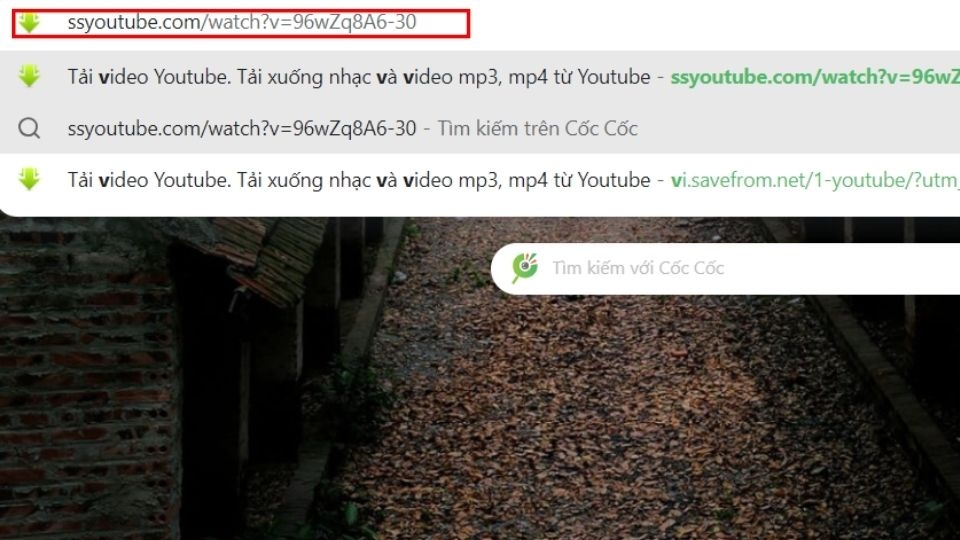 Top 5 web tải phim miễn phí về điện thoại, máy tính hot nhất