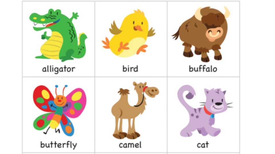 Flashcard là gì? Cách sử dụng Flashcard để học tập hiệu quả