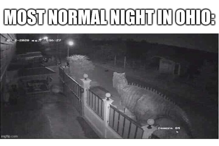 Ohio Meme là gì? Tại sao Ohio Meme lại trở nên nổi tiếng