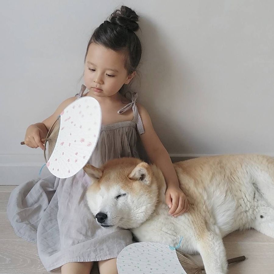 Top 100+ avatar chó cute, siêu ngộ nghĩnh, “đốn tim” ngay tức thì