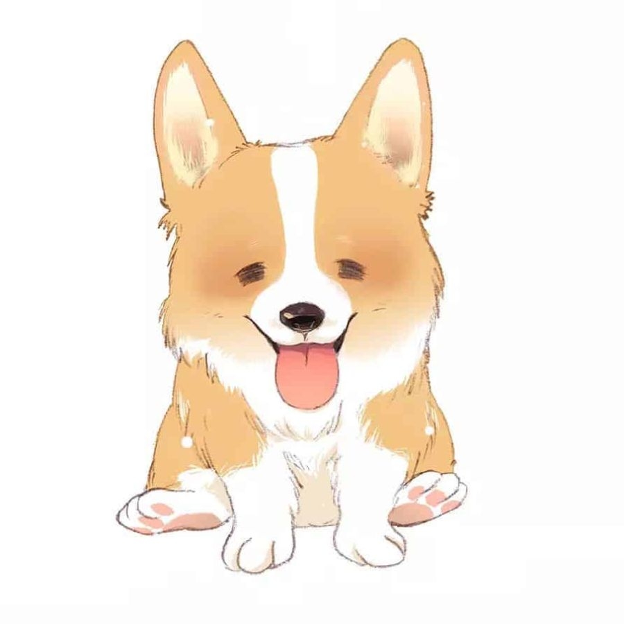 Top 100+ avatar chó cute, siêu ngộ nghĩnh, “đốn tim” ngay tức thì
