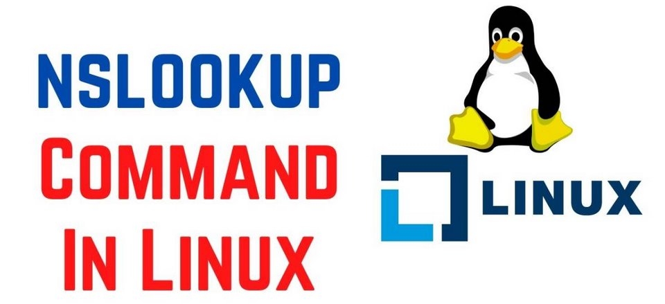 Cách dùng lệnh NSLOOKUP chuẩn xác chuẩn đoán DNS Server