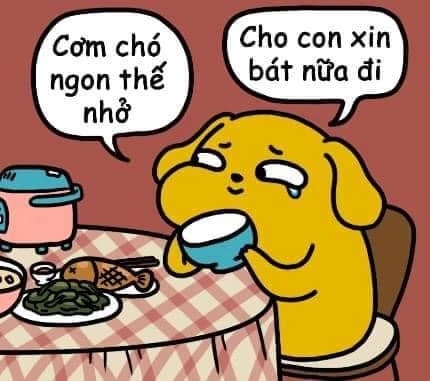 Cẩu lương là gì? Tổng hợp một số meme cẩu lương thú vị, hài hước