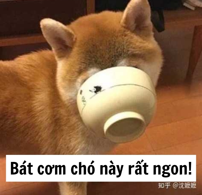 Cẩu lương là gì? Tổng hợp một số meme cẩu lương thú vị, hài hước