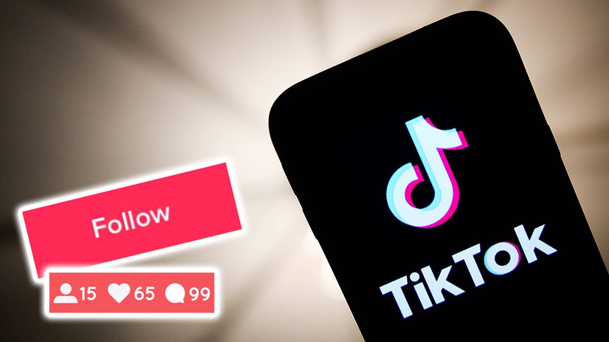 Tik Fans: Ứng dụng giúp tăng followers “chóng mặt” trên TikTok