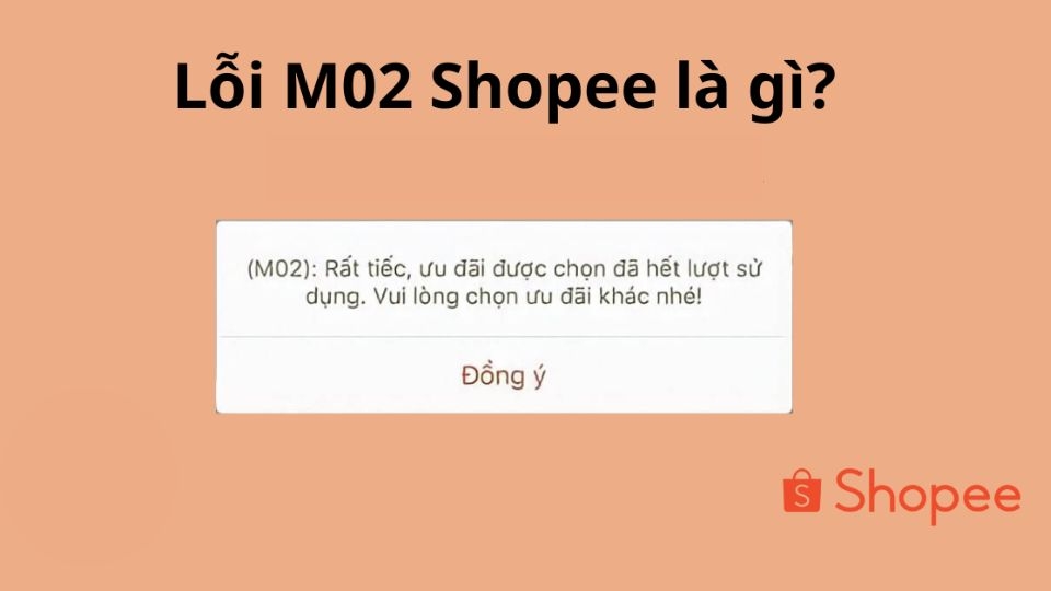 Lỗi M02 Shopee là gì? Nguyên nhân và hướng dẫn cách khắc phục