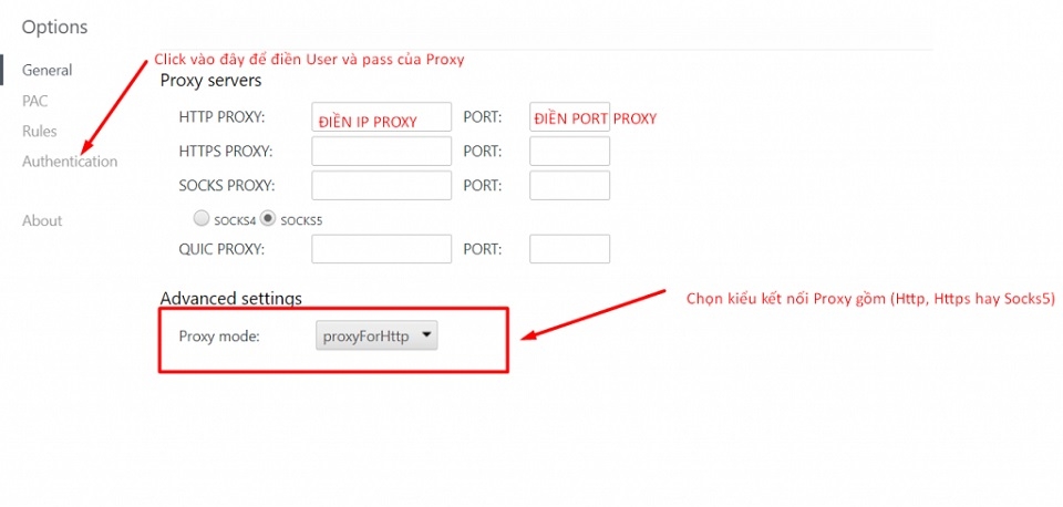 Proxy Helper - Công cụ quản lý tối ưu hóa trải nghiệm Internet