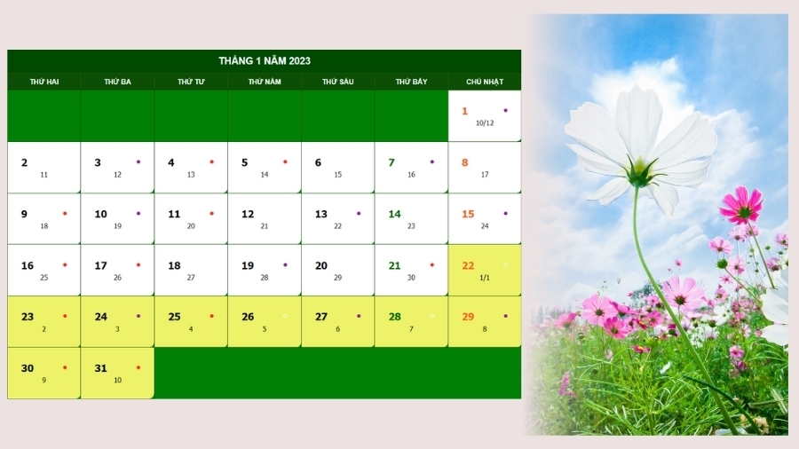 Lịch âm 2023: Xem lại ngày âm lịch và các sự kiện trong năm