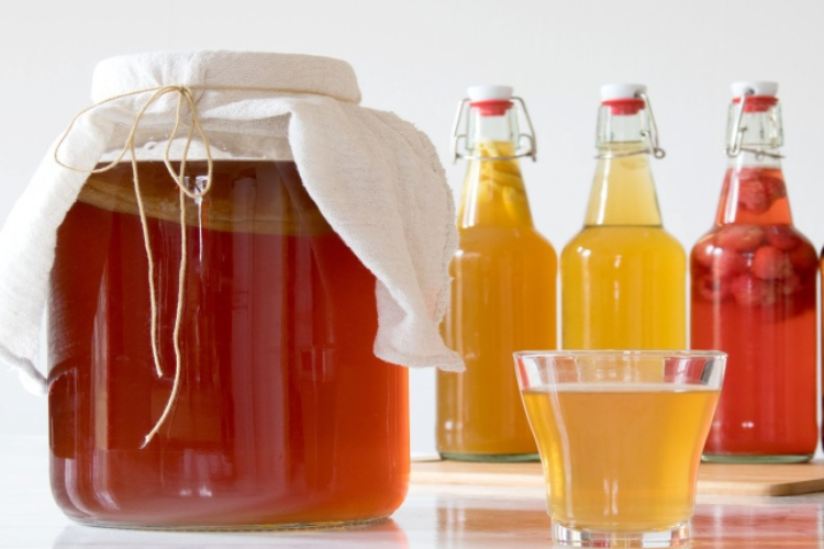 Kombucha là gì? 7 Lợi ích tuyệt vời của Kombucha cho sức khỏe