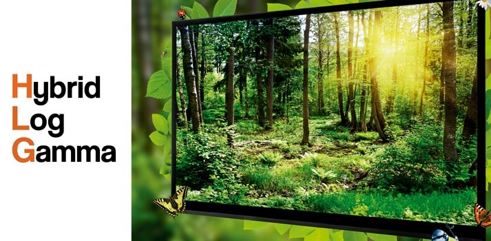HLG là gì? Những tính năng độc đáo của công nghệ HLG trên tivi