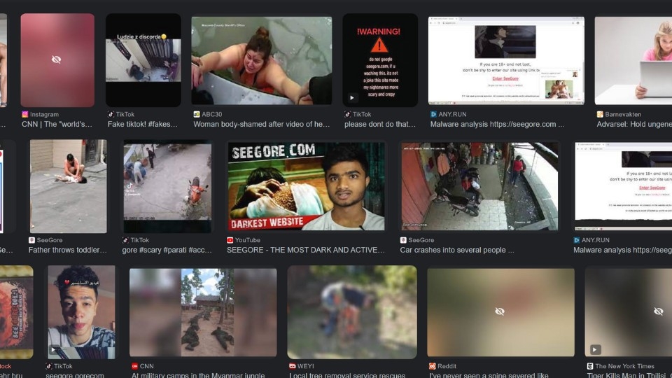 Seegore là gì? Tổng hợp 10 trang web có nội dung kinh dị