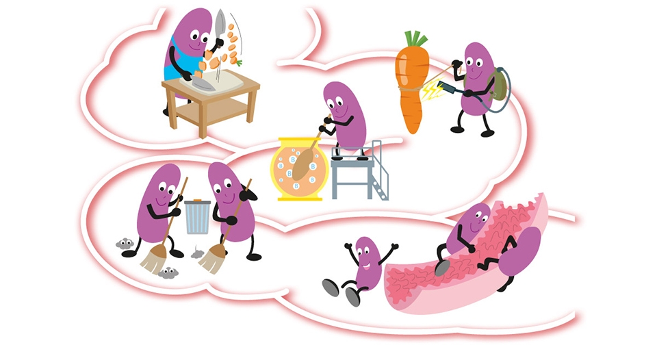 Khuẩn probiotic là gì? Loại khuẩn này có lợi cho sức khỏe không?