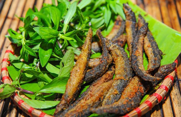 Cách phân biệt cá chạch chấu và các loại cá chạch phổ biến khác