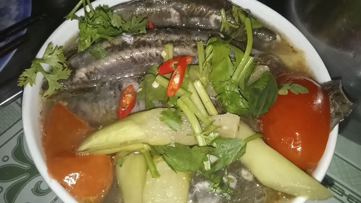 Cách phân biệt cá chạch chấu và các loại cá chạch phổ biến khác