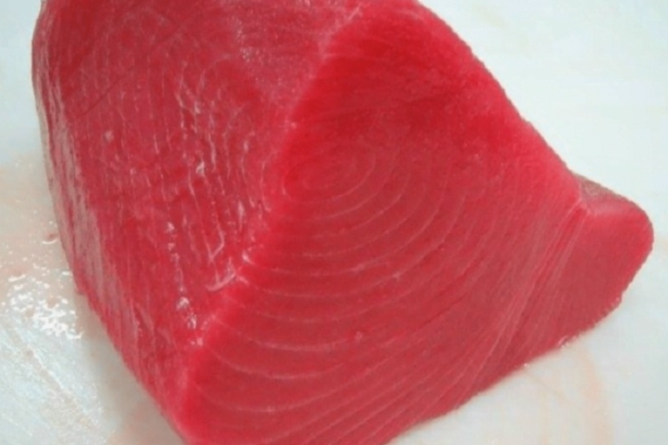 Cá bò gù là cá gì? Bỏ túi ngay một số thông tin về cá bò gù