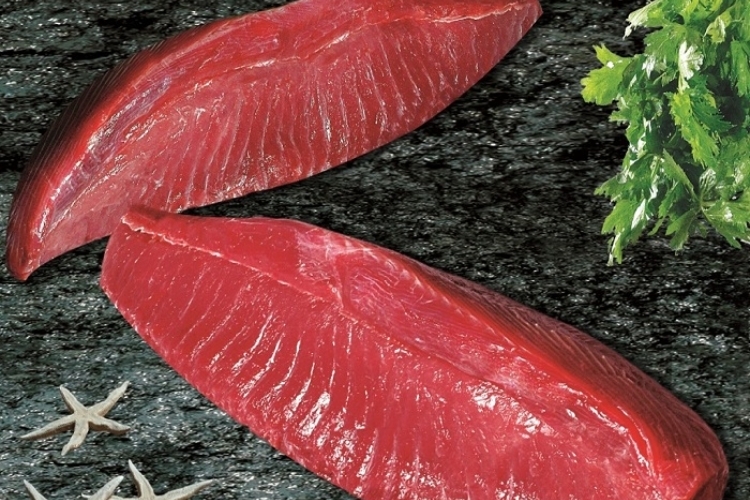 Cá bò gù là cá gì? Bỏ túi ngay một số thông tin về cá bò gù