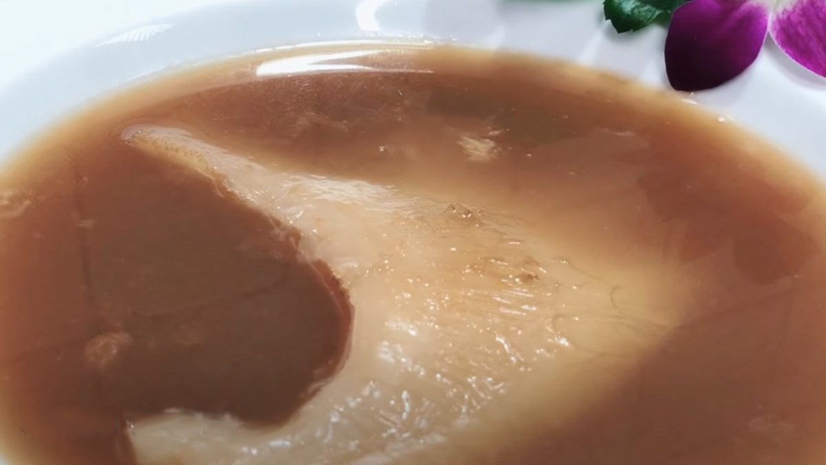 Vi cá mập là gì, có mấy loại? Hướng dẫn cách chế biến vi cá mập