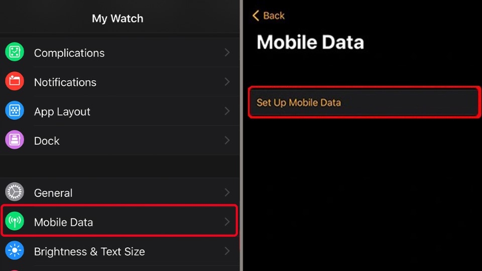 Apple Watch eSIM là gì? Hướng dẫn cách thiết lập eSIM, MultiSIM