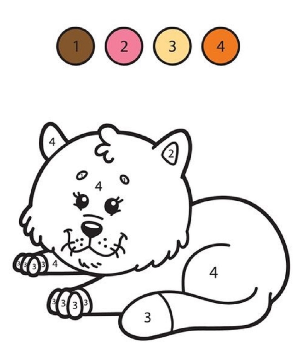 Color Time: Thế giới của màu sắc cùng những bức tranh tuyệt đẹp