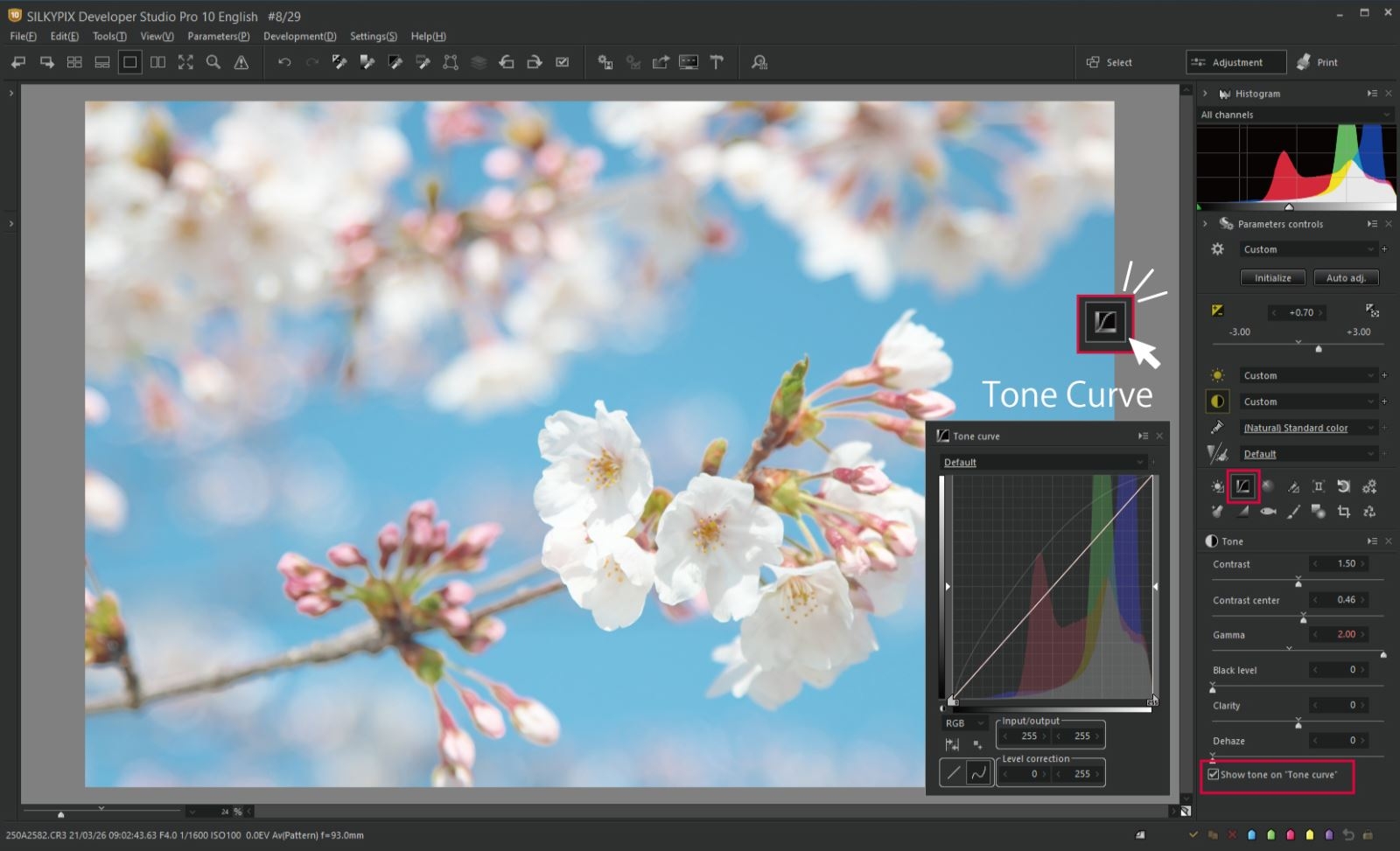Camera Raw Photoshop là gì? Cách dùng công cụ chỉnh sửa ảnh này