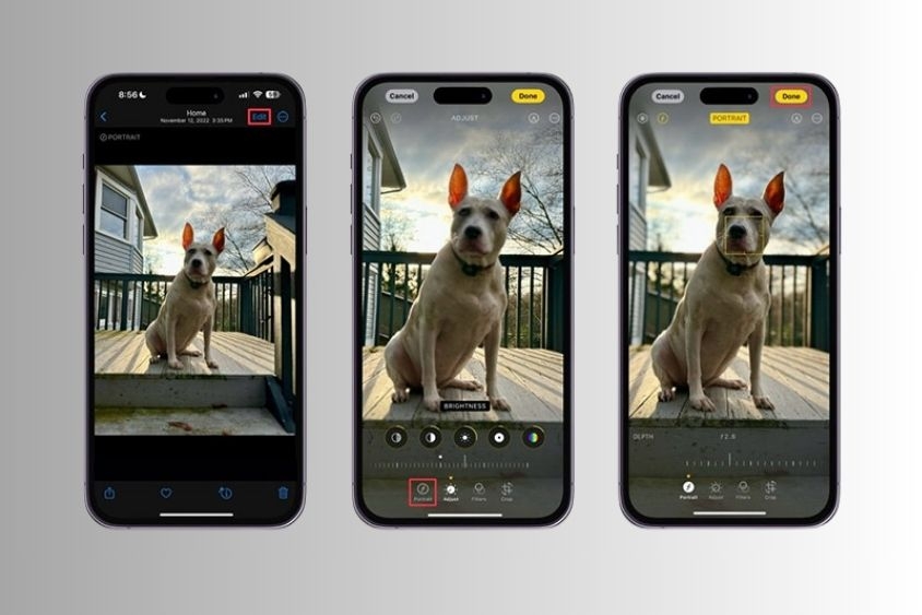Chia sẻ các cách chỉnh camera iPhone 12 Pro Max đơn giản
