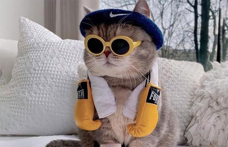 Con sen là gì? Vì sao giới trẻ lại ví von bản thân là "con sen"?