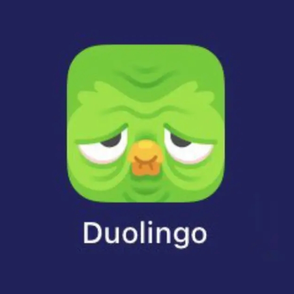 Cười nghiêng ngả với bộ ảnh Duolingo meme cực hài hước