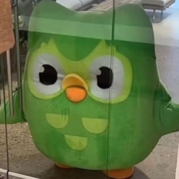 Cười nghiêng ngả với bộ ảnh Duolingo meme cực hài hước
