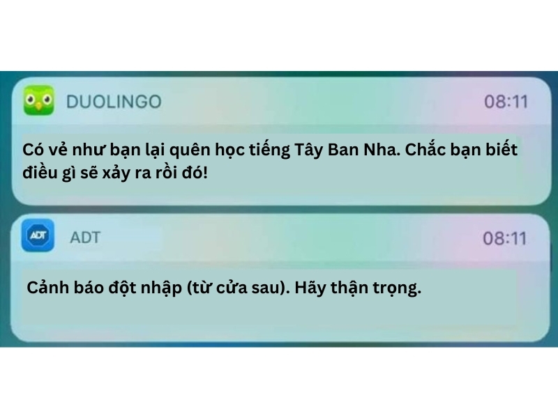 Cười nghiêng ngả với bộ ảnh Duolingo meme cực hài hước