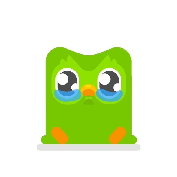 Cười nghiêng ngả với bộ ảnh Duolingo meme cực hài hước