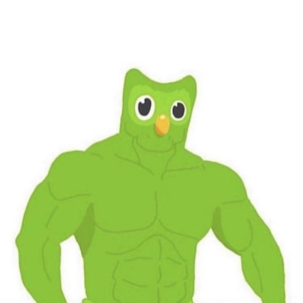 Cười nghiêng ngả với bộ ảnh Duolingo meme cực hài hước