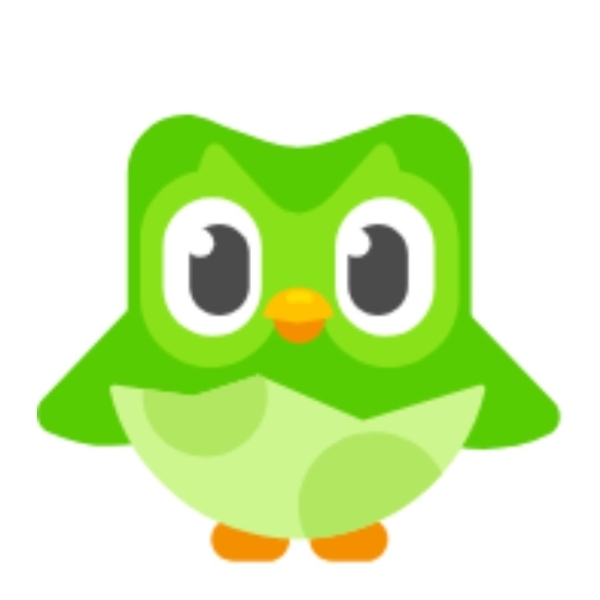 Cười nghiêng ngả với bộ ảnh Duolingo meme cực hài hước