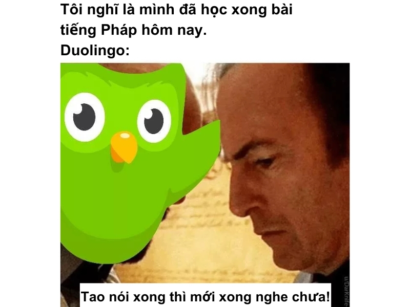 Cười nghiêng ngả với bộ ảnh Duolingo meme cực hài hước