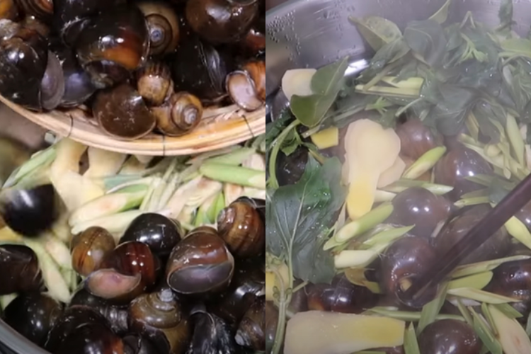 2 cách làm ốc bưu hấp xả thơm ngon, hấp dẫn