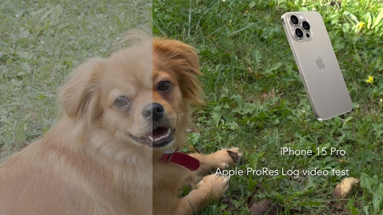 Apple ProRes là gì? Cách sử dụng ProRes để giảm dung lượng video