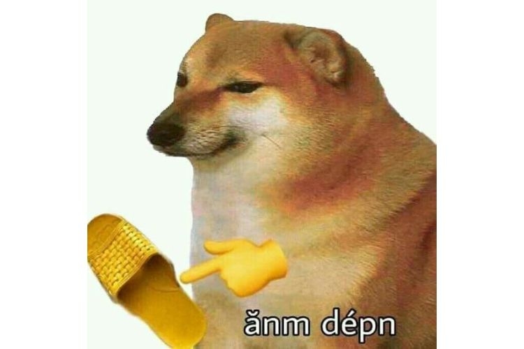 Tổng hợp meme bay màu, meme hài hước cực thú vị, lưu ngay!