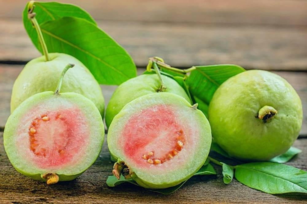 Hướng dẫn cách chọn ổi ngon, không bị chát và cách bảo quản ổi