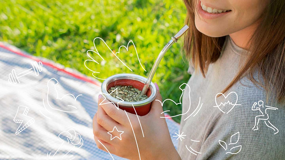 Trà mate có công dụng gì? Cách pha trà mate chuẩn không bị đắng