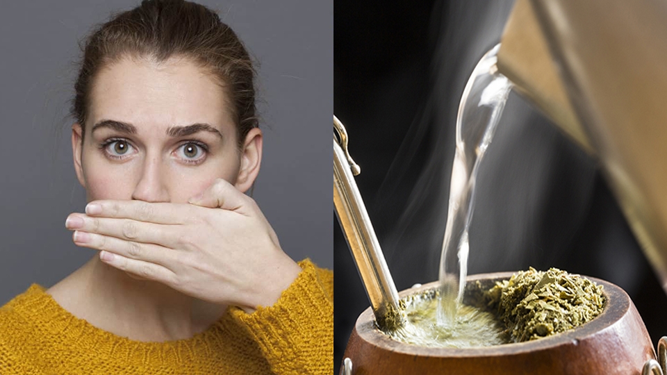 Trà mate có công dụng gì? Cách pha trà mate chuẩn không bị đắng