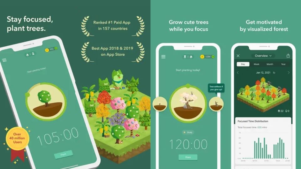 Khám phá Forest app - Bí quyết rèn luyện thói quen tập trung