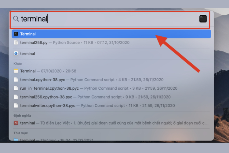Terminal là gì? Tại sao Terminal lại được sử dụng phổ biến?