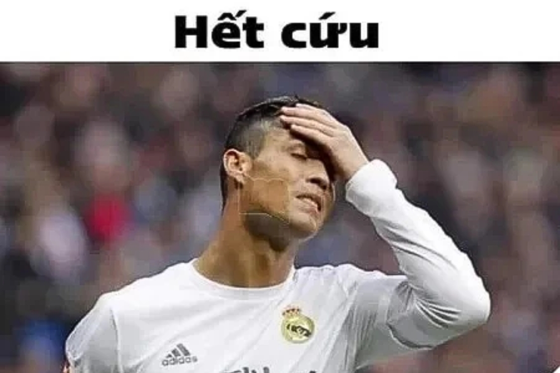 Bộ sưu tập meme hết cứu hài hước đang khuấy đảo cộng đồng mạng