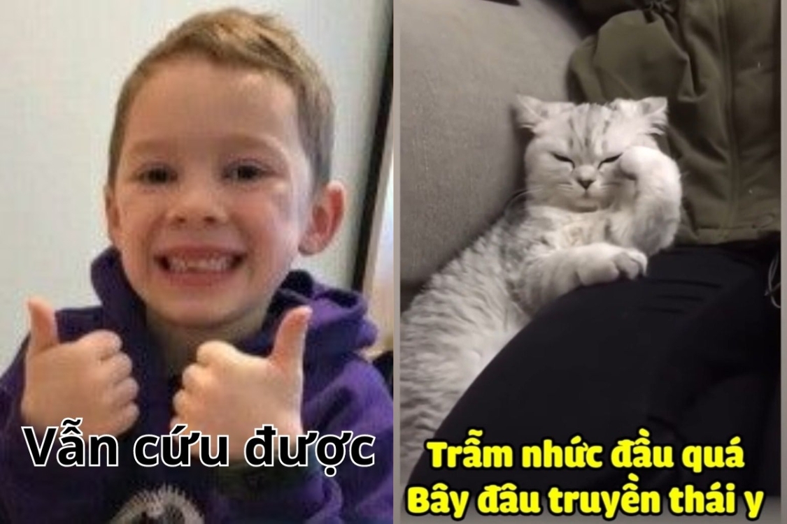 Bộ sưu tập meme hết cứu hài hước đang khuấy đảo cộng đồng mạng